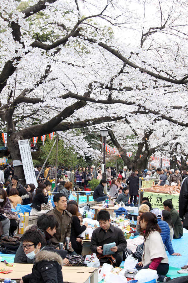 IMG_1730 – Cedarseed