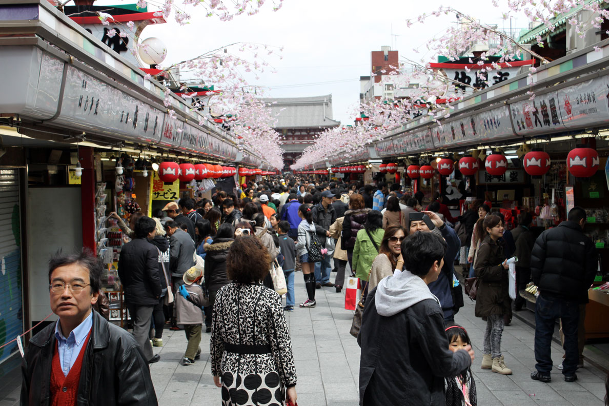 Asakusa – Cedarseed