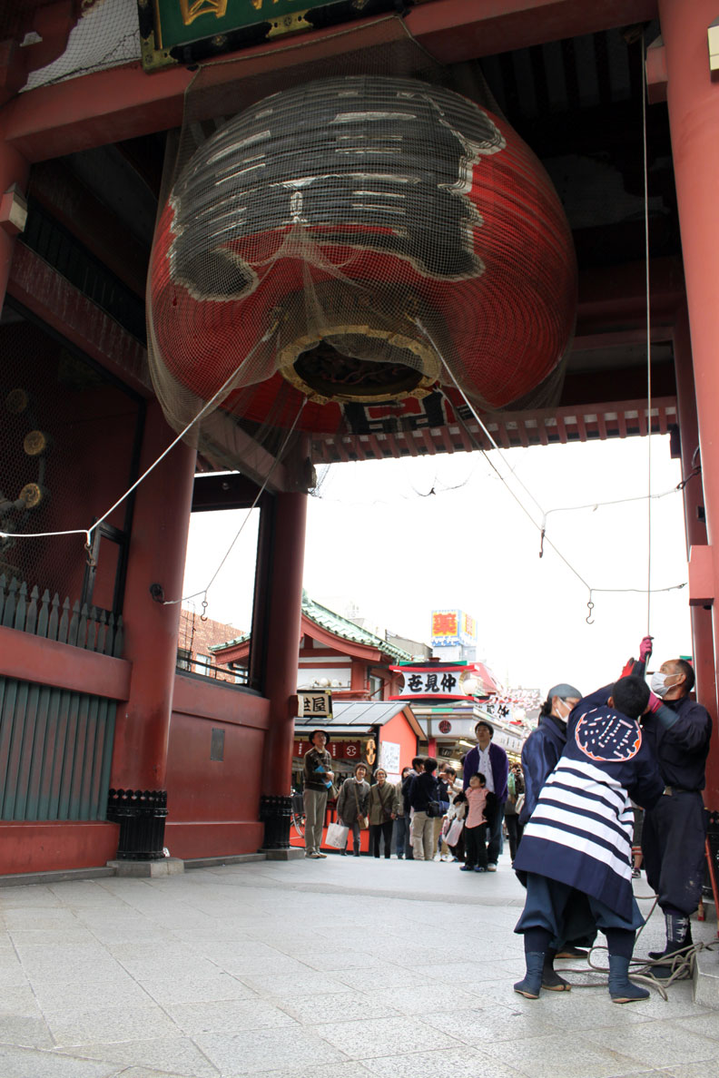 IMG_1049 – Cedarseed