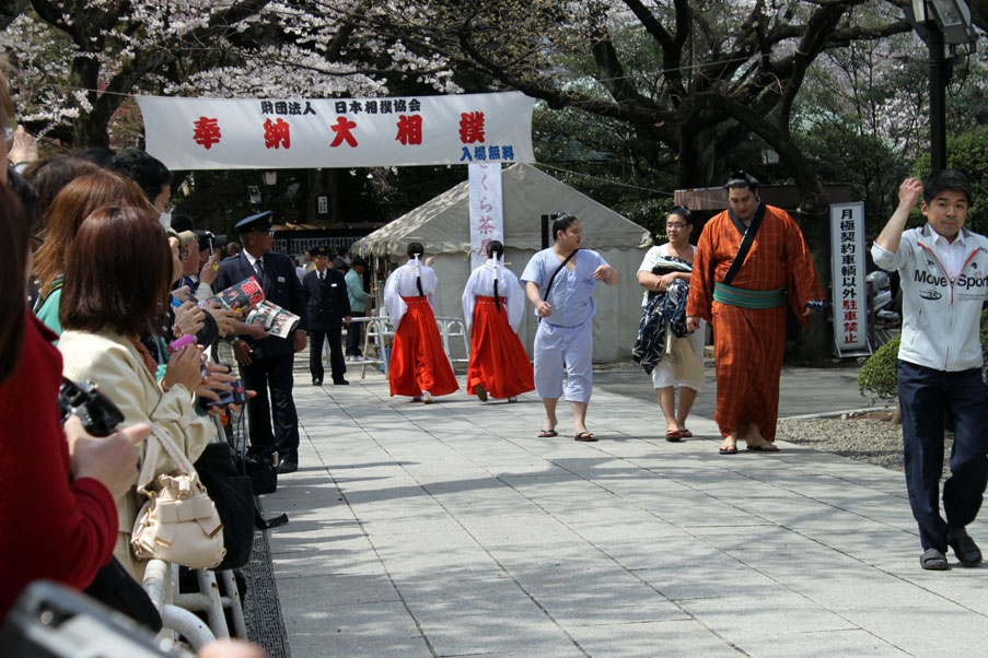 IMG_1477 – Cedarseed