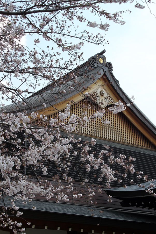 IMG_1479 – Cedarseed