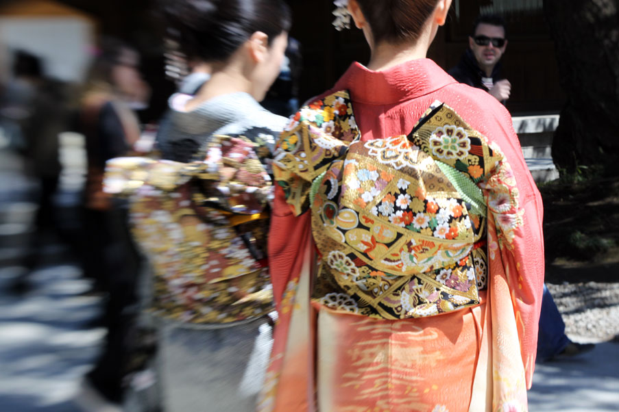 IMG_1642 – Cedarseed