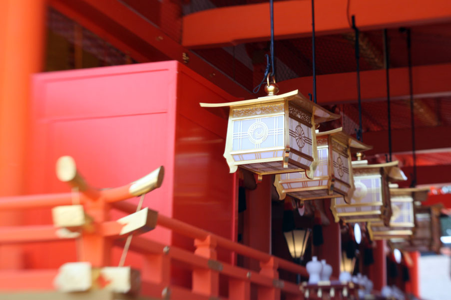 IMG_2307 – Cedarseed