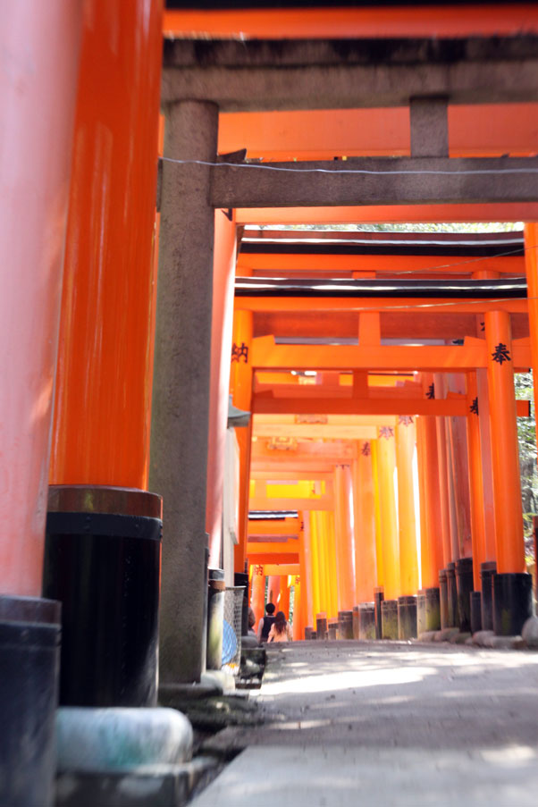 IMG_2328 – Cedarseed