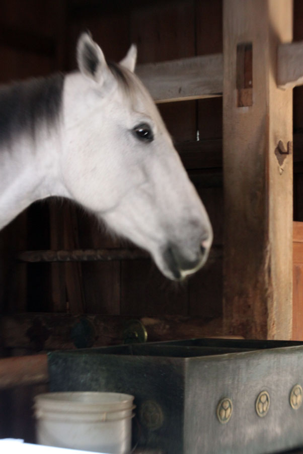 IMG_2453 – Cedarseed