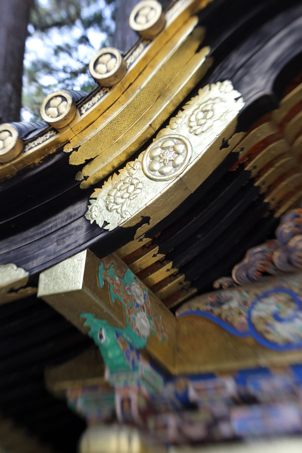 IMG_2459 – Cedarseed