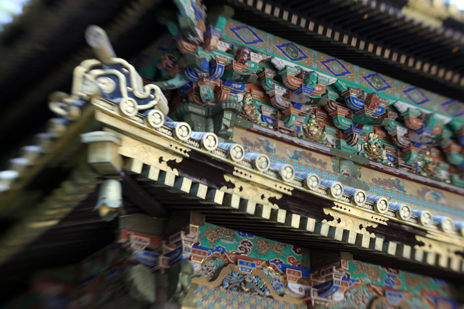 IMG_2467 – Cedarseed