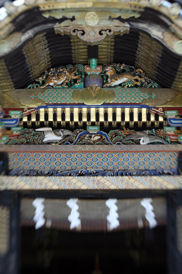 IMG_2489 – Cedarseed