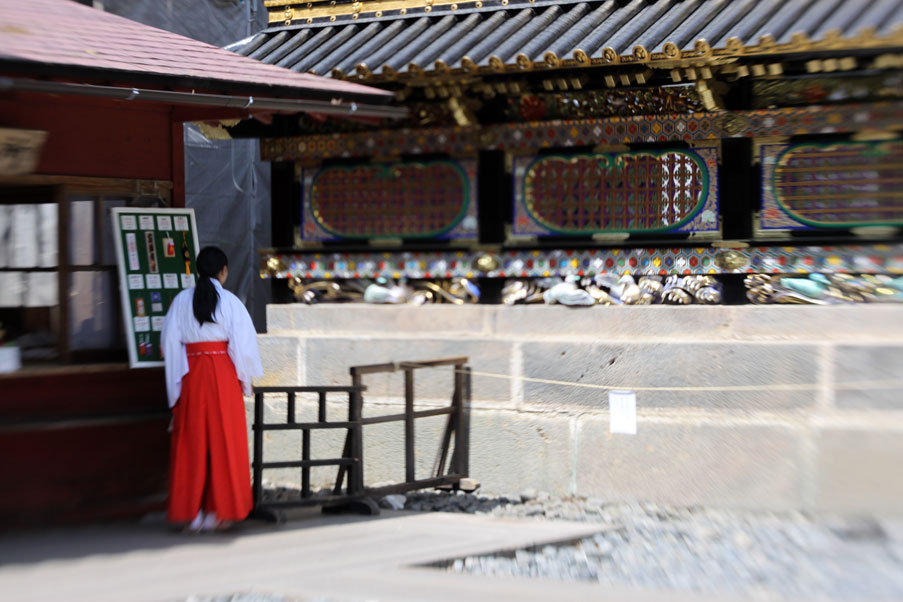 IMG_2490 – Cedarseed