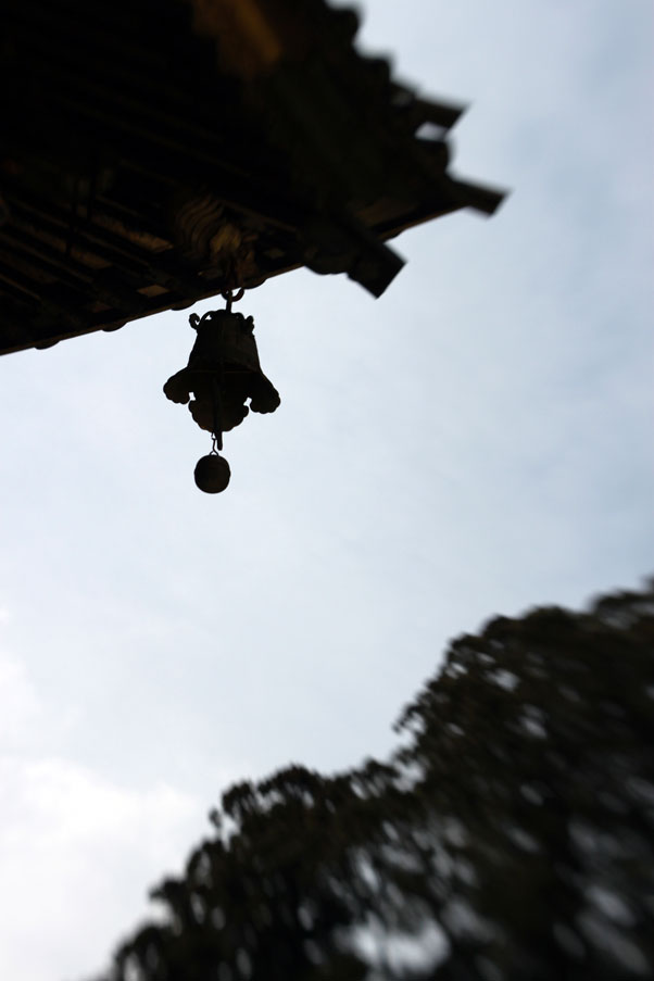 IMG_2500 – Cedarseed