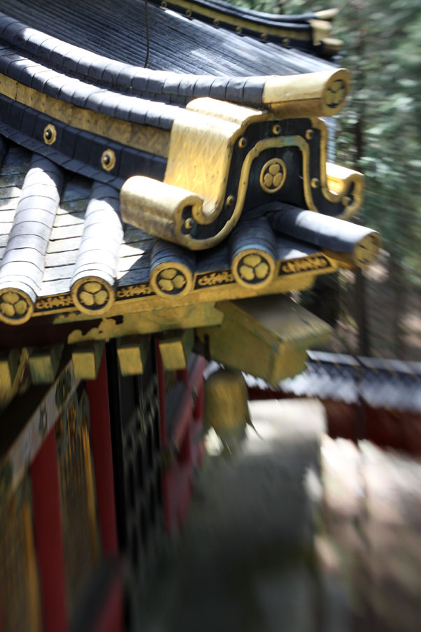 IMG_2510 – Cedarseed