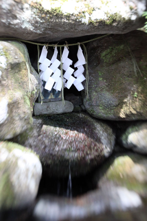 IMG_2524 – Cedarseed