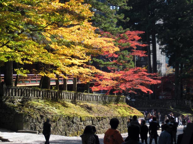 IMG_5195 – Cedarseed