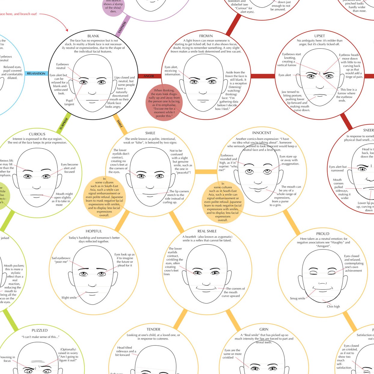 Emotions Facial Expressions Cedarseed